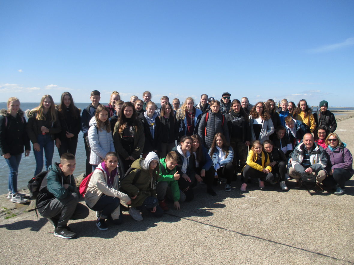 Insel | HRS Saterland